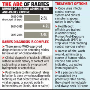 Raj govt claims zero rabies deaths despite 6.7L dog bites in 18 months ...
